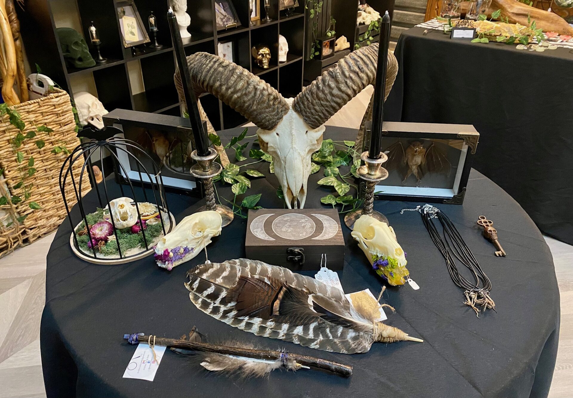 Arkana Antiques and Oddities opens at 900 Rutter Ave | Weekender