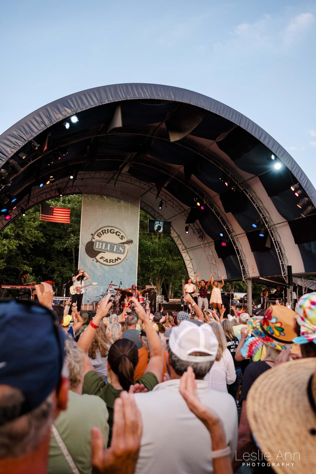 Briggs Farm Blues Festival announces 2025 lineup | Weekender